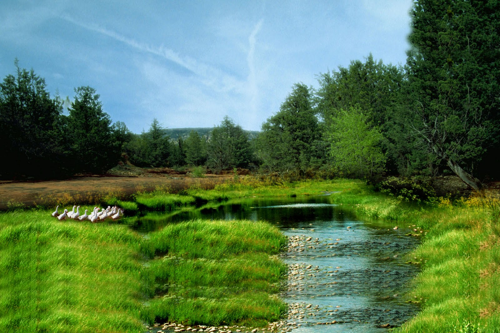 Digital Background HD Wallpapers For PC - Gallery Blitz