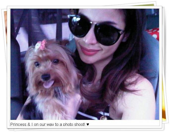 Fabulous Pet Talk: Famous Celebrity Pets