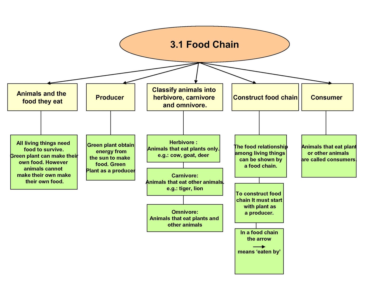 SCIENCE YEAR 5: Food chain