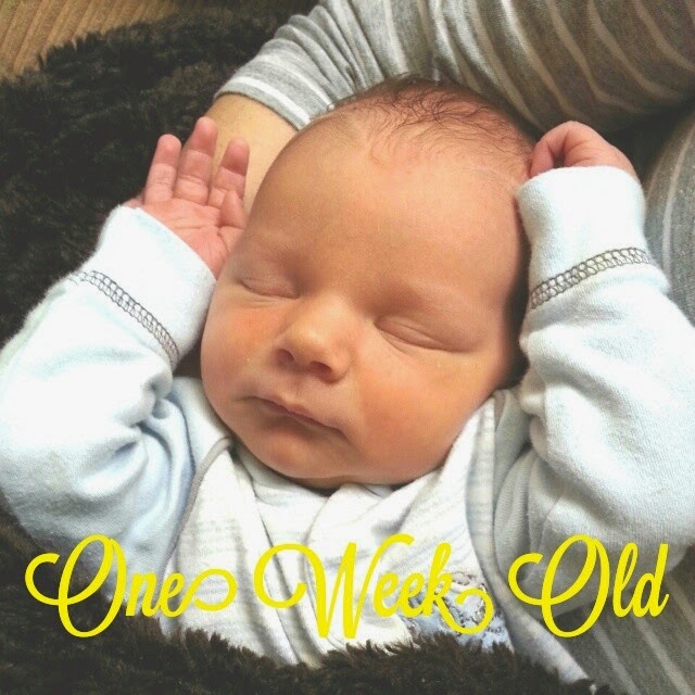 Four Boys One Queen: One Week Old - I'm not as young as I once was...