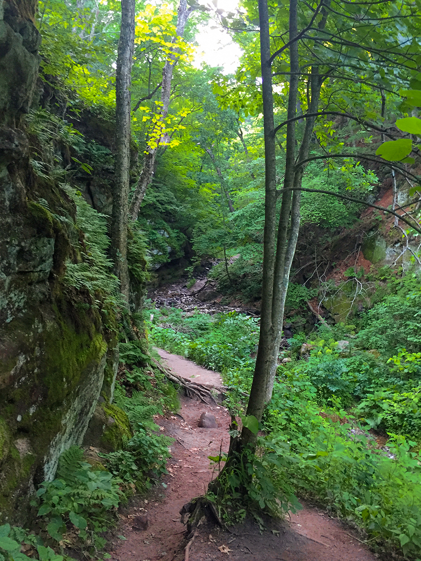 Hiking Through Parfrey's Glen - Merrimac WI