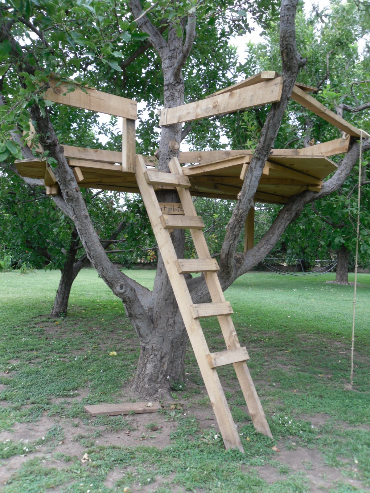 LIVE.... LAUGH.... LOVE ....: the tree fort