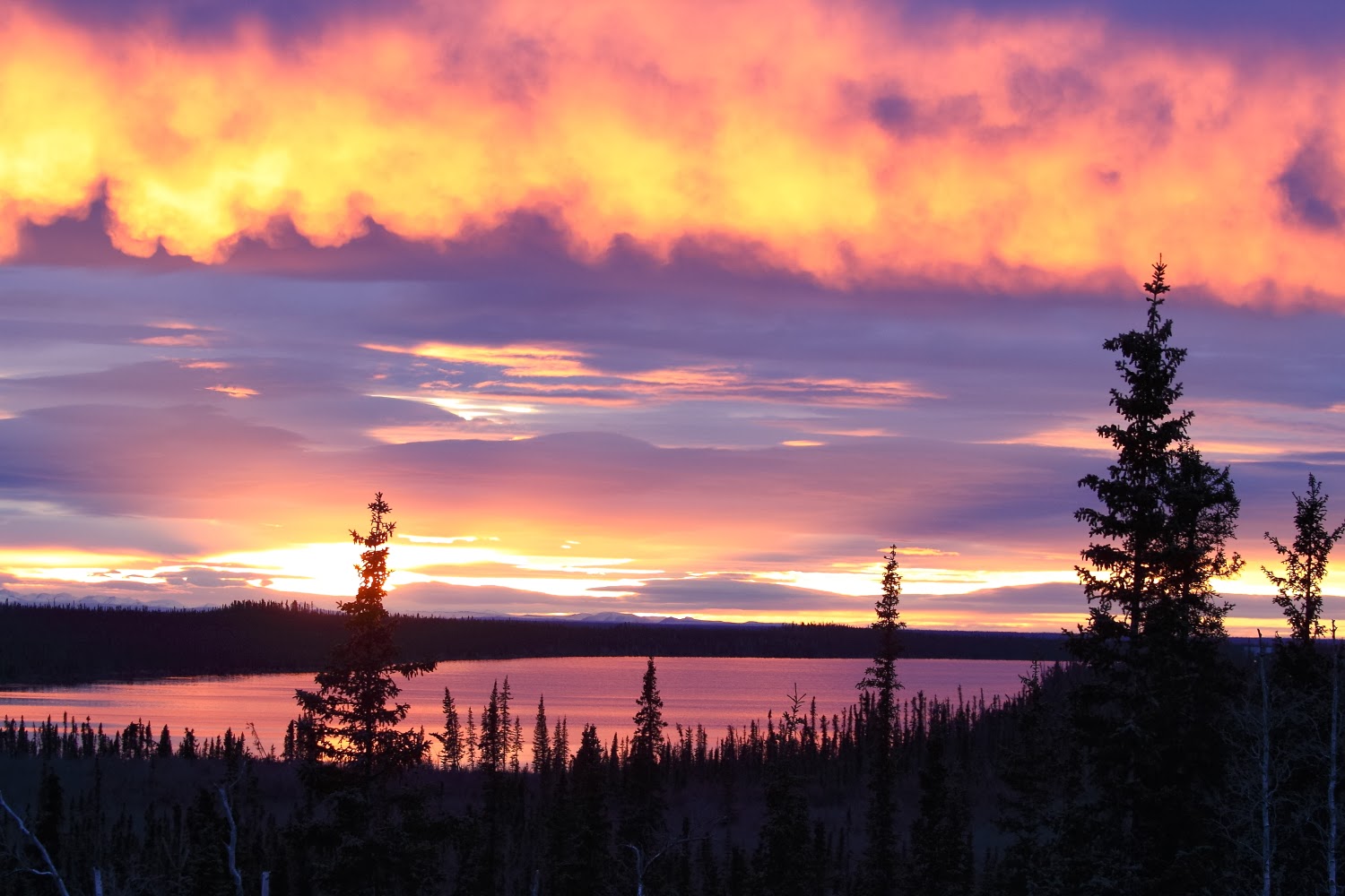 La Biblioteca del Inframundo: Reseña: El día que dejó de nevar en Alaska