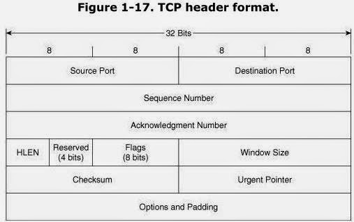 Learning Journal: IP, TCP, UDP Header
