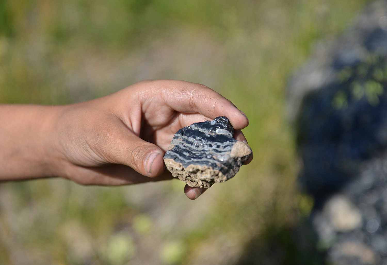 Yellowstone: Obsidian Cliff - light-in-leaves