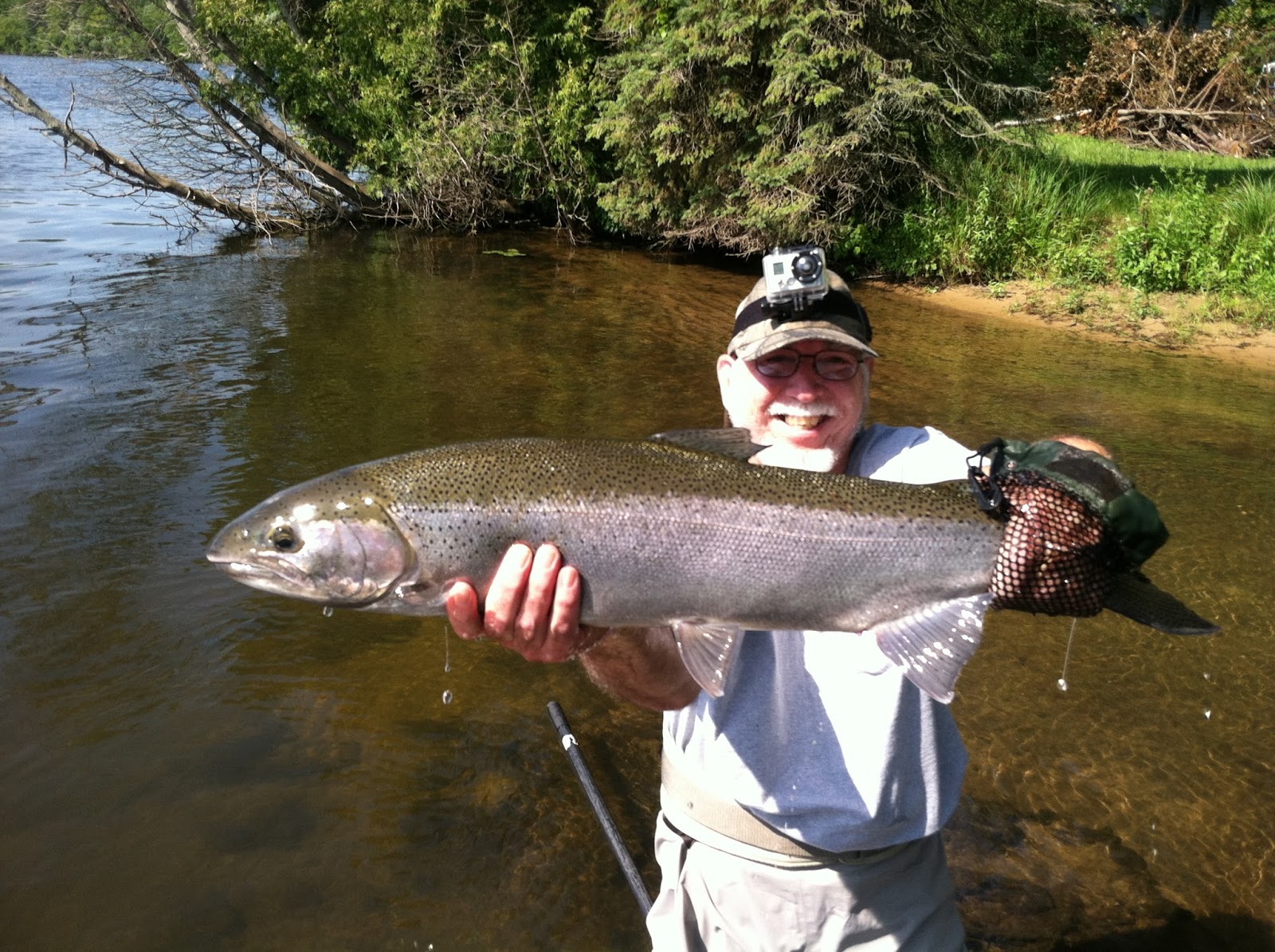 THE CHROME FANTASY CONTINUES!-SKAMANIA SUMMER STEELHEAD MANIA ONLY TO ...