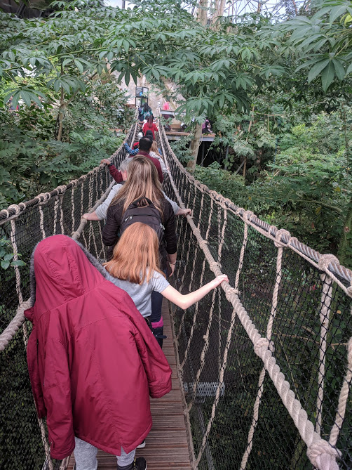 10 Reasons to Visit the Eden Project in Winter | North East Family Fun