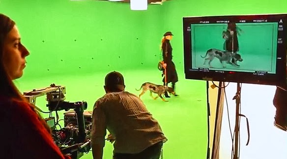 Shelter DOGS Star in STUNNING CGI TV AD! | BOLD and UNUSUAL DOG Stories ...