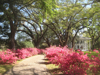 Southern Folk Artist & Antiques Dealer/Collector: A Spring walk along ...