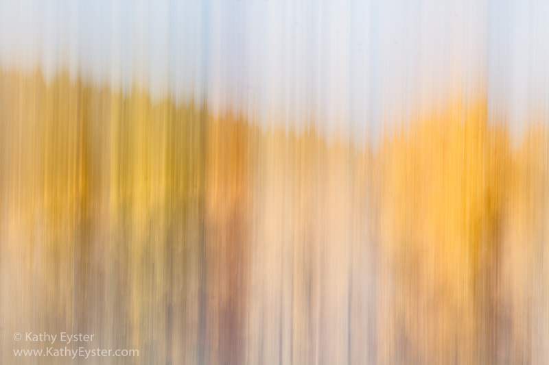 Creative Ideas --- Slow shutter speeds