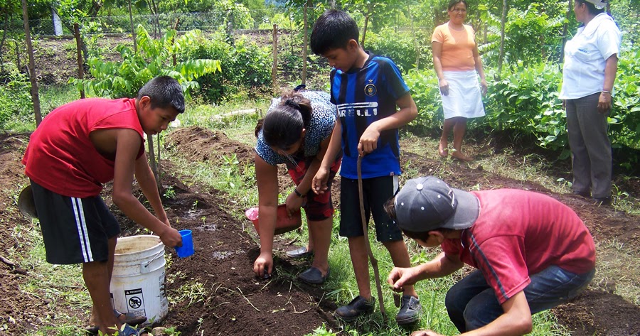 El Magazin de Merlo: APRENDER e IMITAR: Sembrar y cosechar nuestros ...