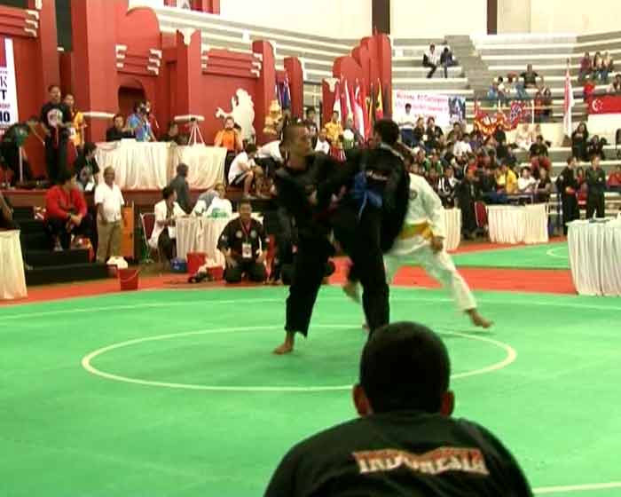 14th World Championship Pencak Silat Martial Art: Malaysia (15)
