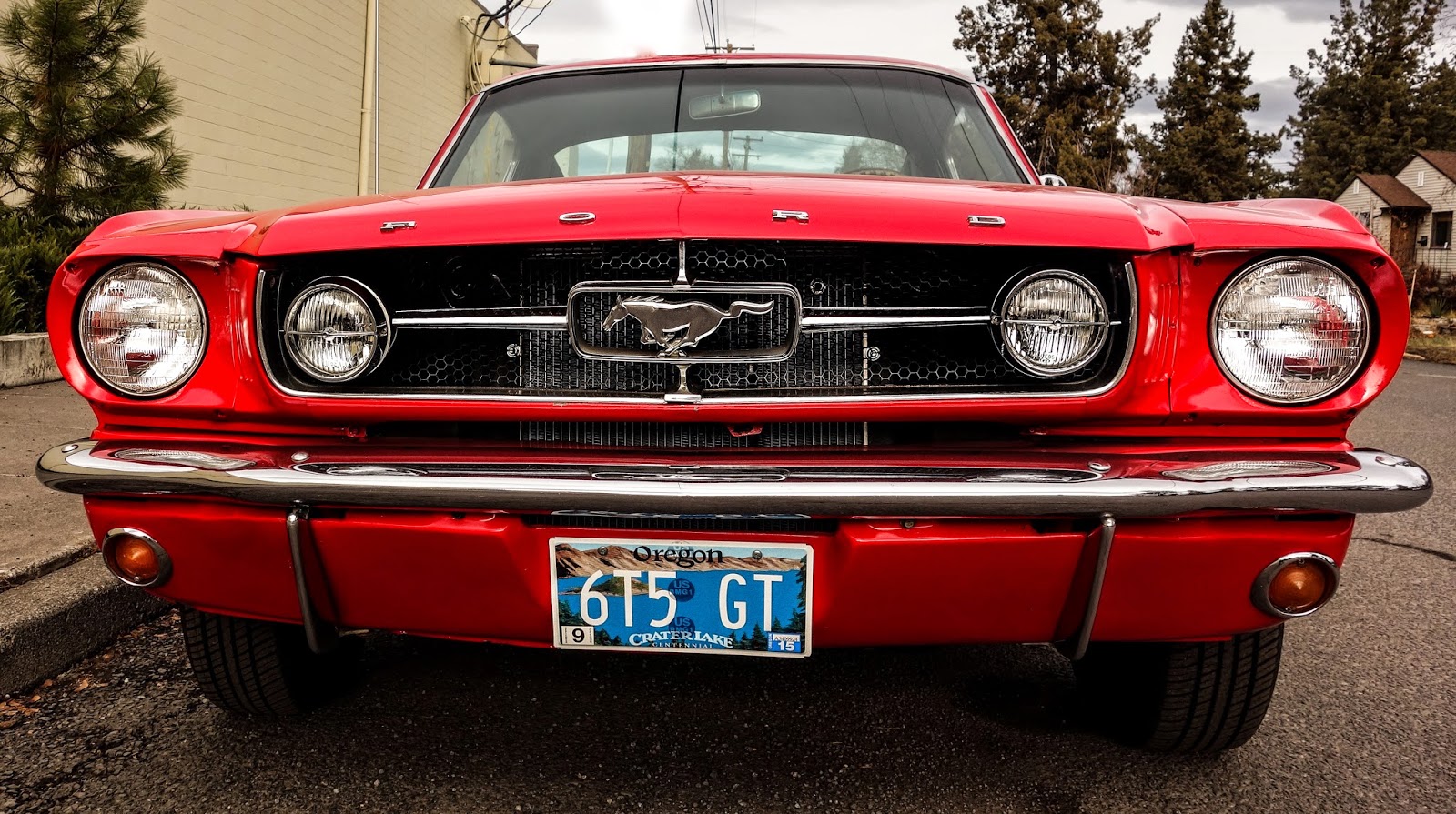 Jake Klonsky Photography: Project 4 Balance and Contrast