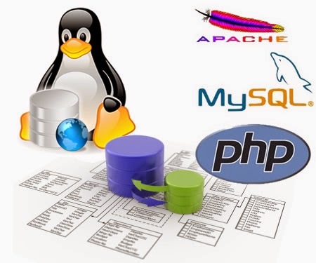 Funciones en PHP para comandos de MySQL ~ Creando páginas Web