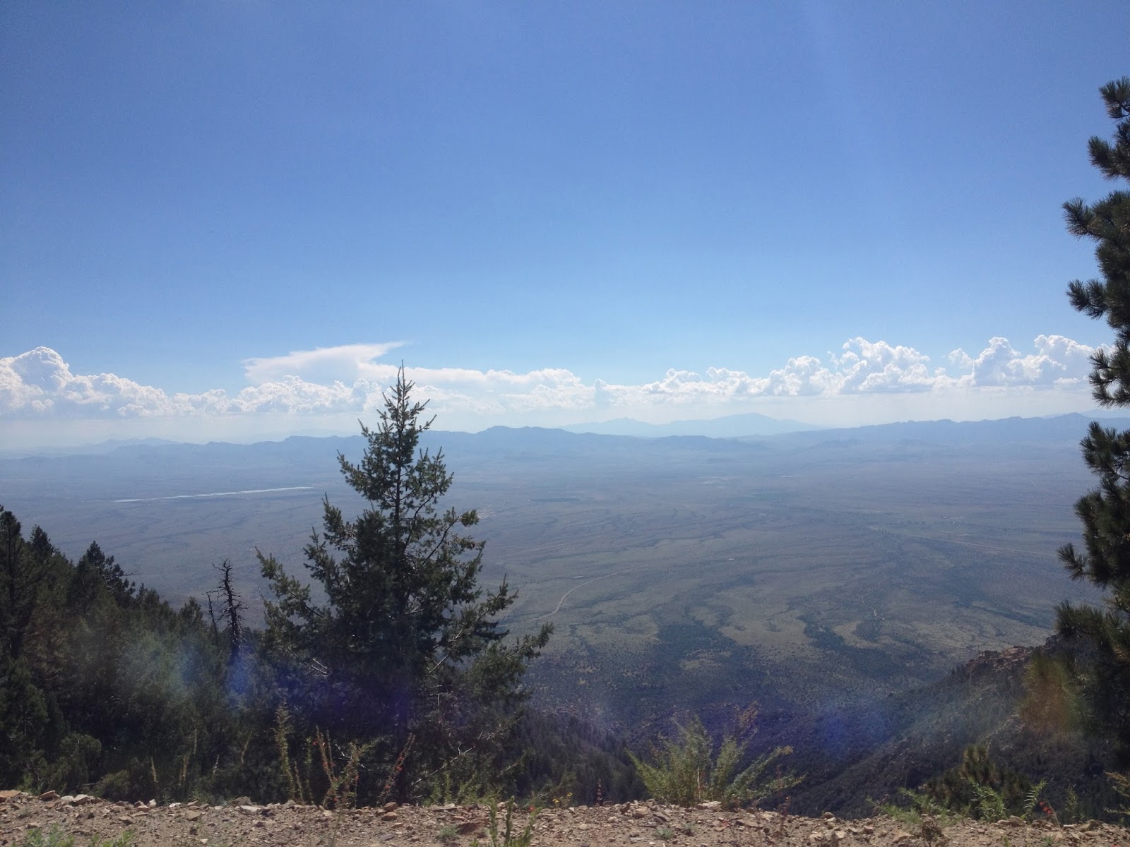 Arizona's Mount Graham, Coronado National Forest | Truck Camper Adventure