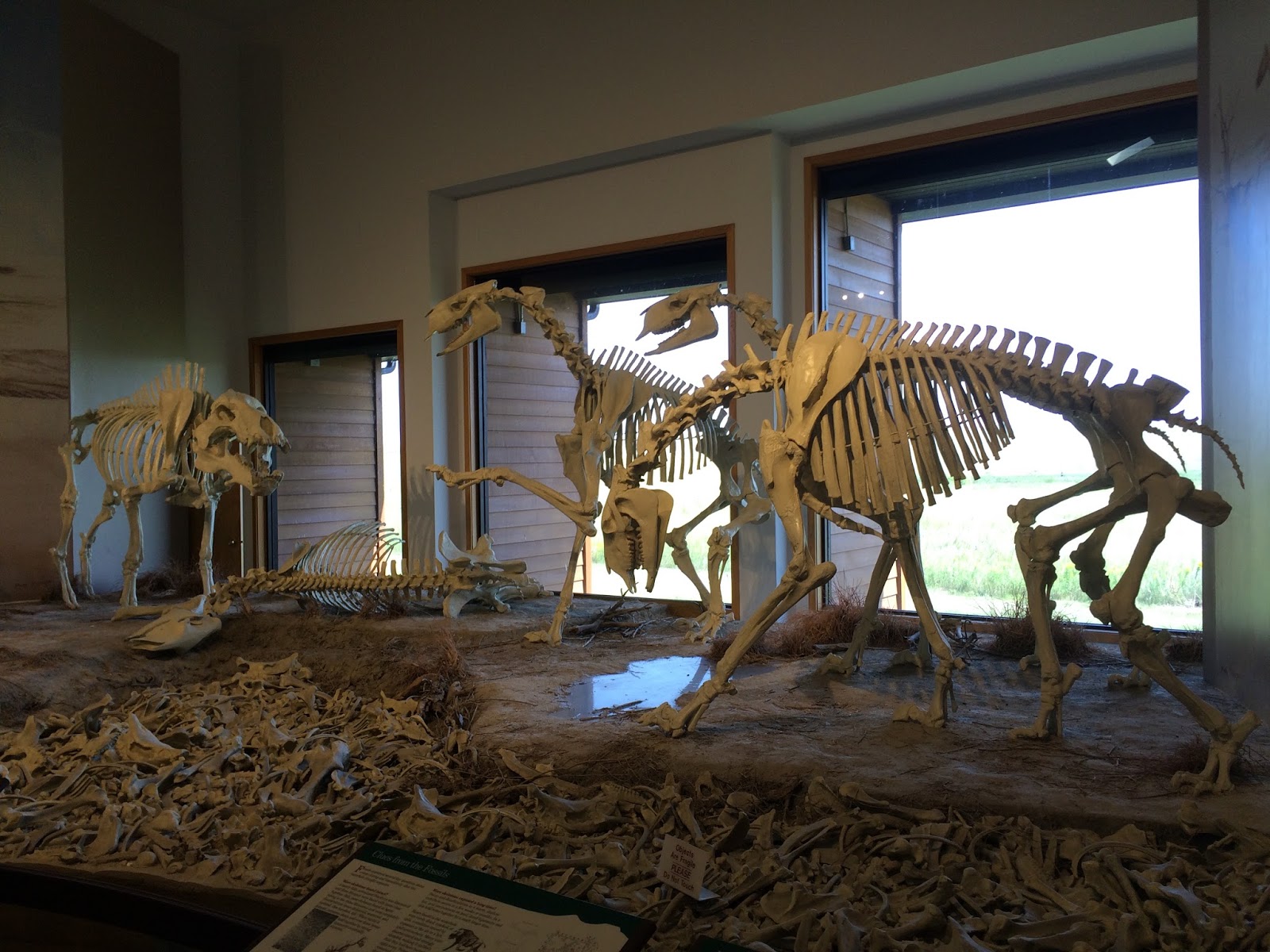 Meandering In My RV: Agate Fossil Beds National Monument - Nebraska