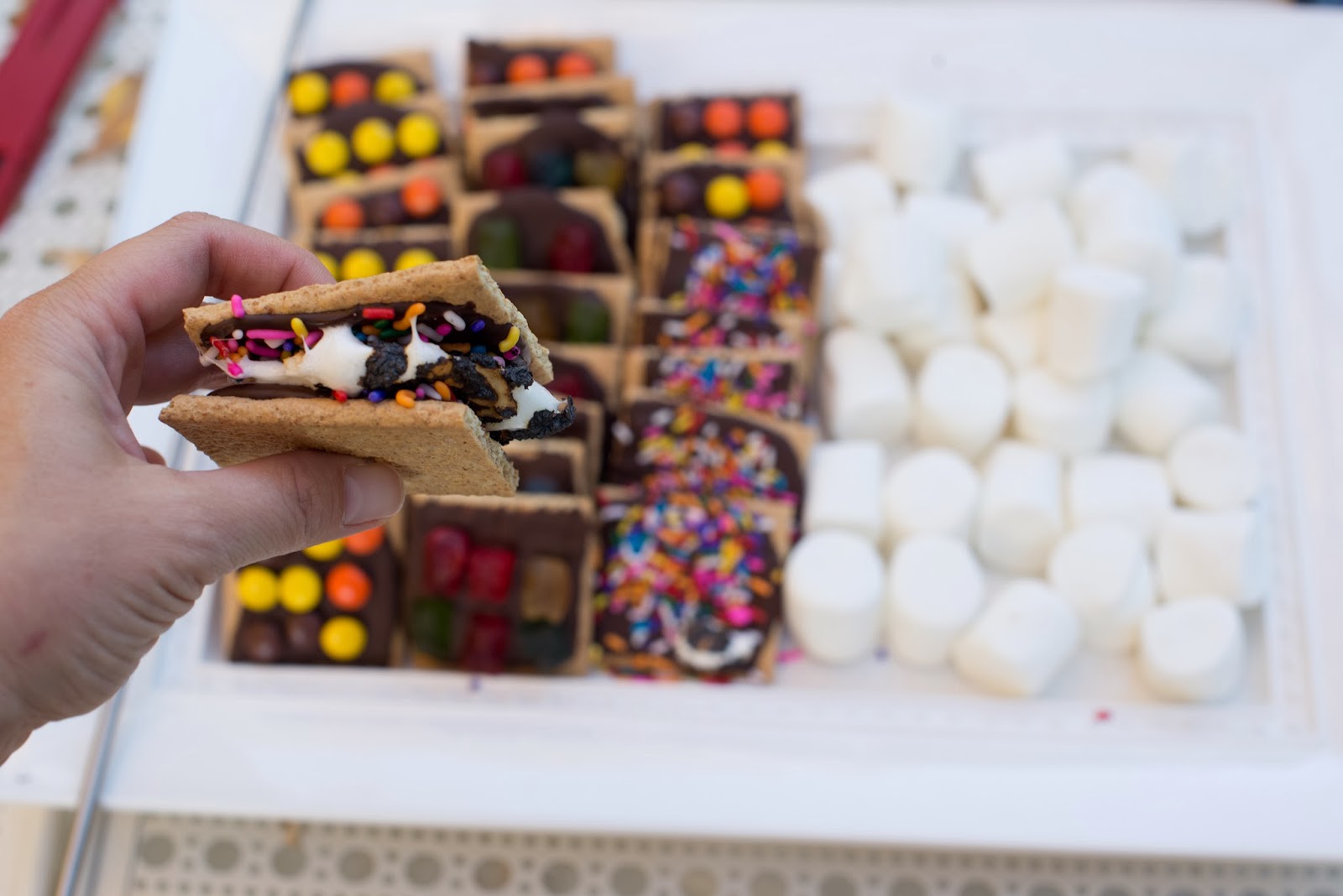 Domestic Fashionista: Backyard Pre-Chocolated Smores