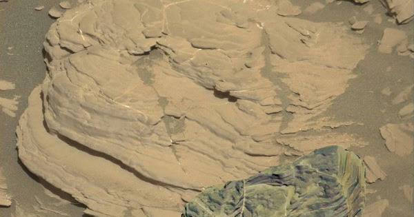 Weblog on Physics: Mimetic "animal"