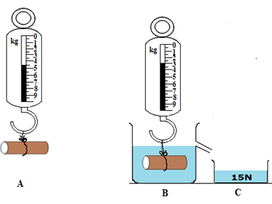 PHYSICS : ARCHIMEDES' PRINCIPLE