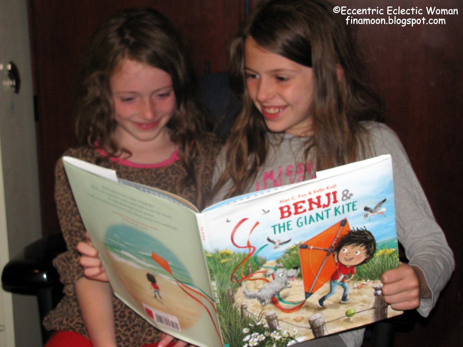 Eccentric Eclectic Woman: Benji & The Giant Kite Book Review and Giveaway