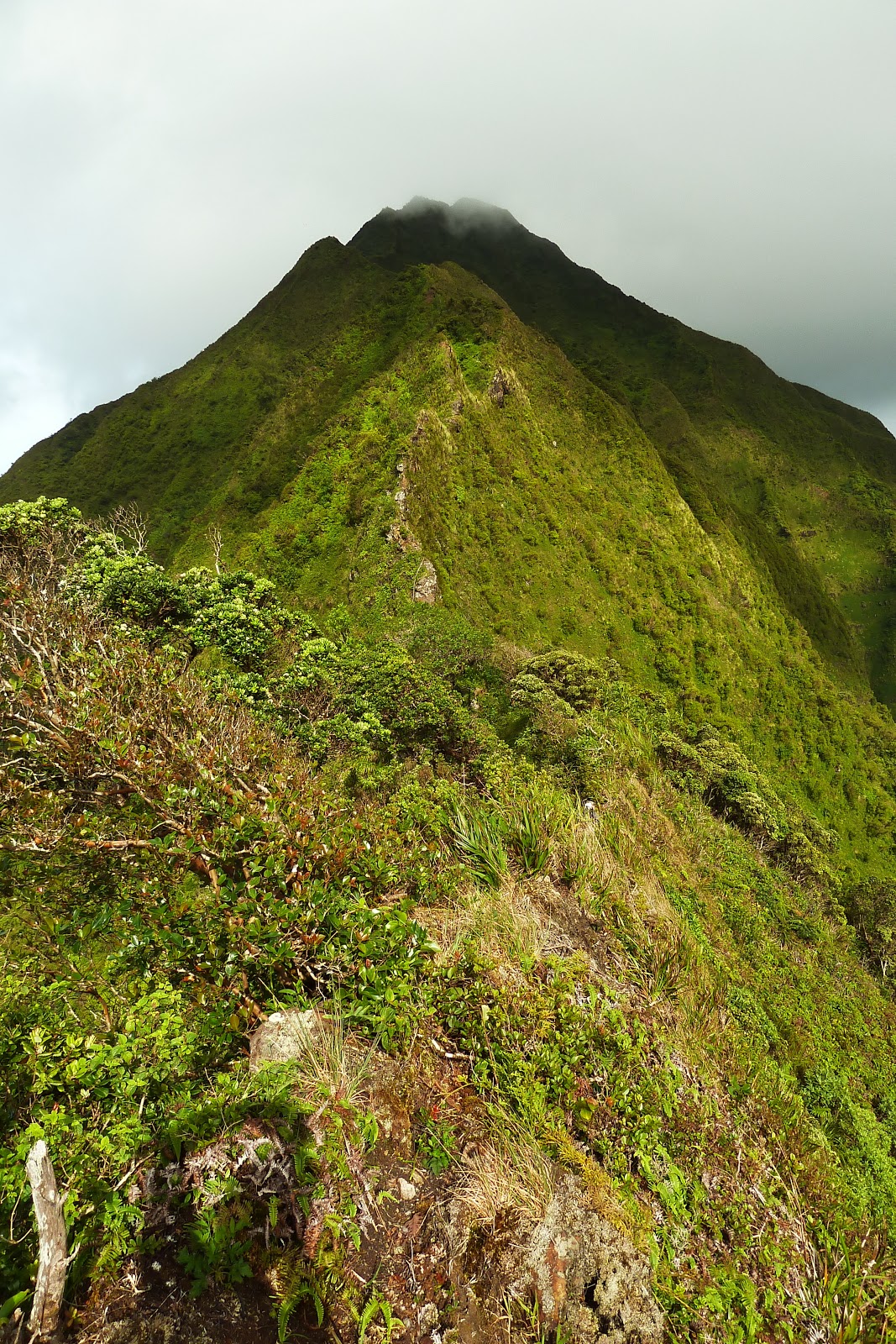 DGC's Hawaii Hiking Tales: 5-15-2011: Pali Puka to Lanihuli
