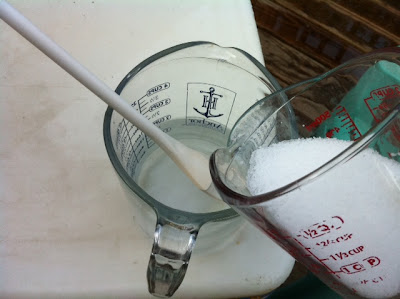 Homemade This and That: Castile Soap Tutorial