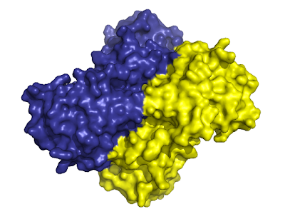 Phosphofructokinase-1: Visual Representations of PFK-1