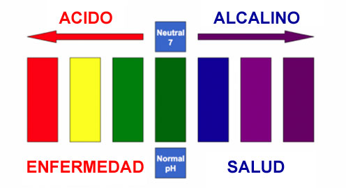 Qué es el PH Alcalino? ~ Somos lo que Comemos