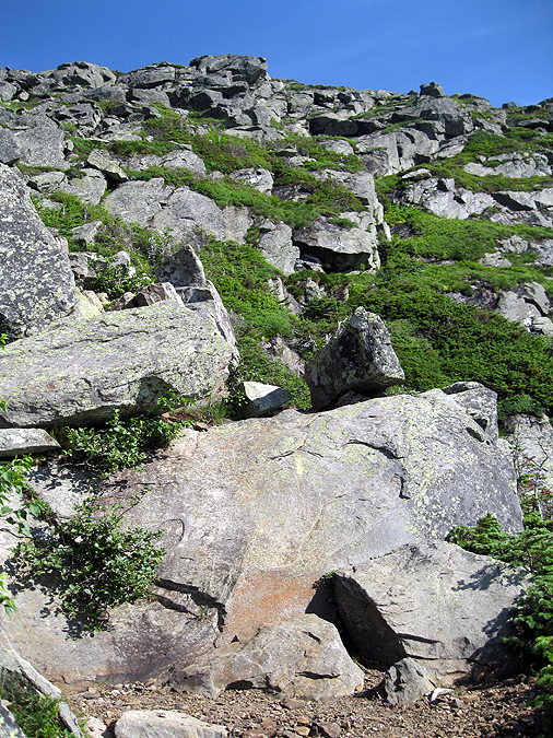 Hiking in the White Mountains: 'The Beasts of the East' ~ Huntington ...