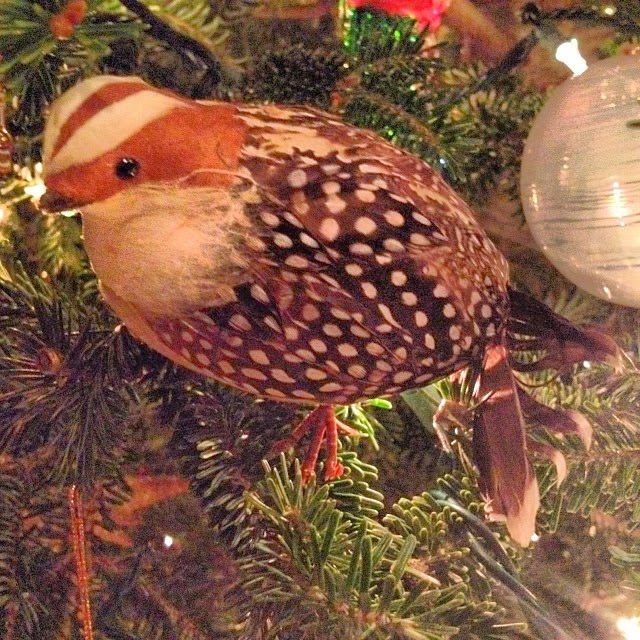 Stone Hill Farm: A Partridge in a Pear Tree Birthday Love