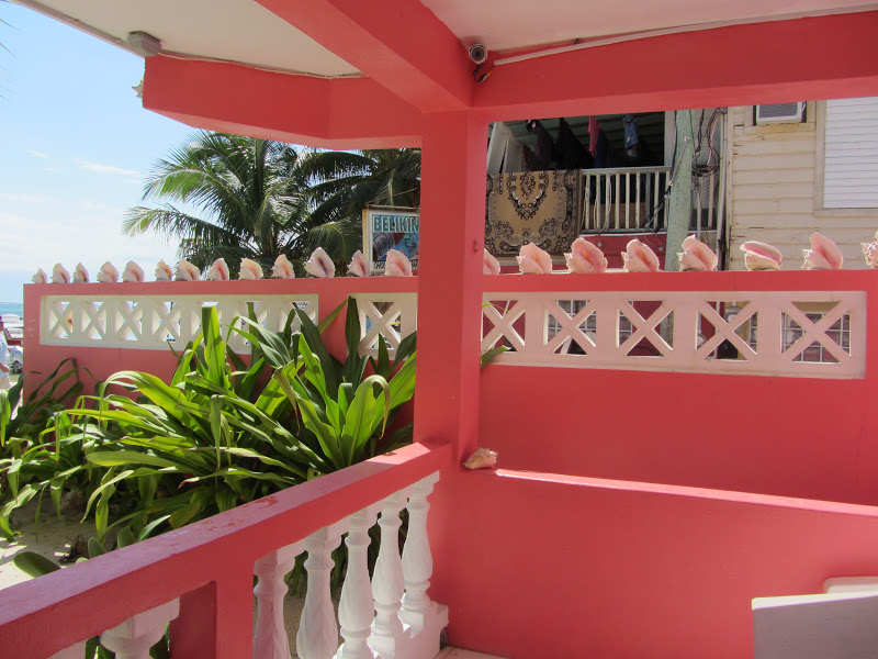 Hotels For Your Budget: San Pedro's Conch Shell Inn | San Pedro Scoop