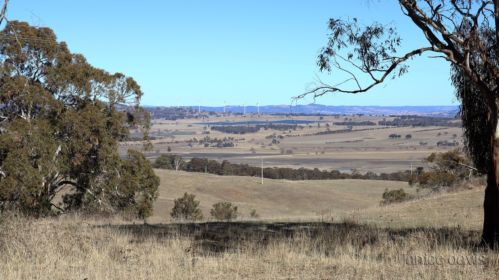 thoughts & happenings: North of Barraba NSW