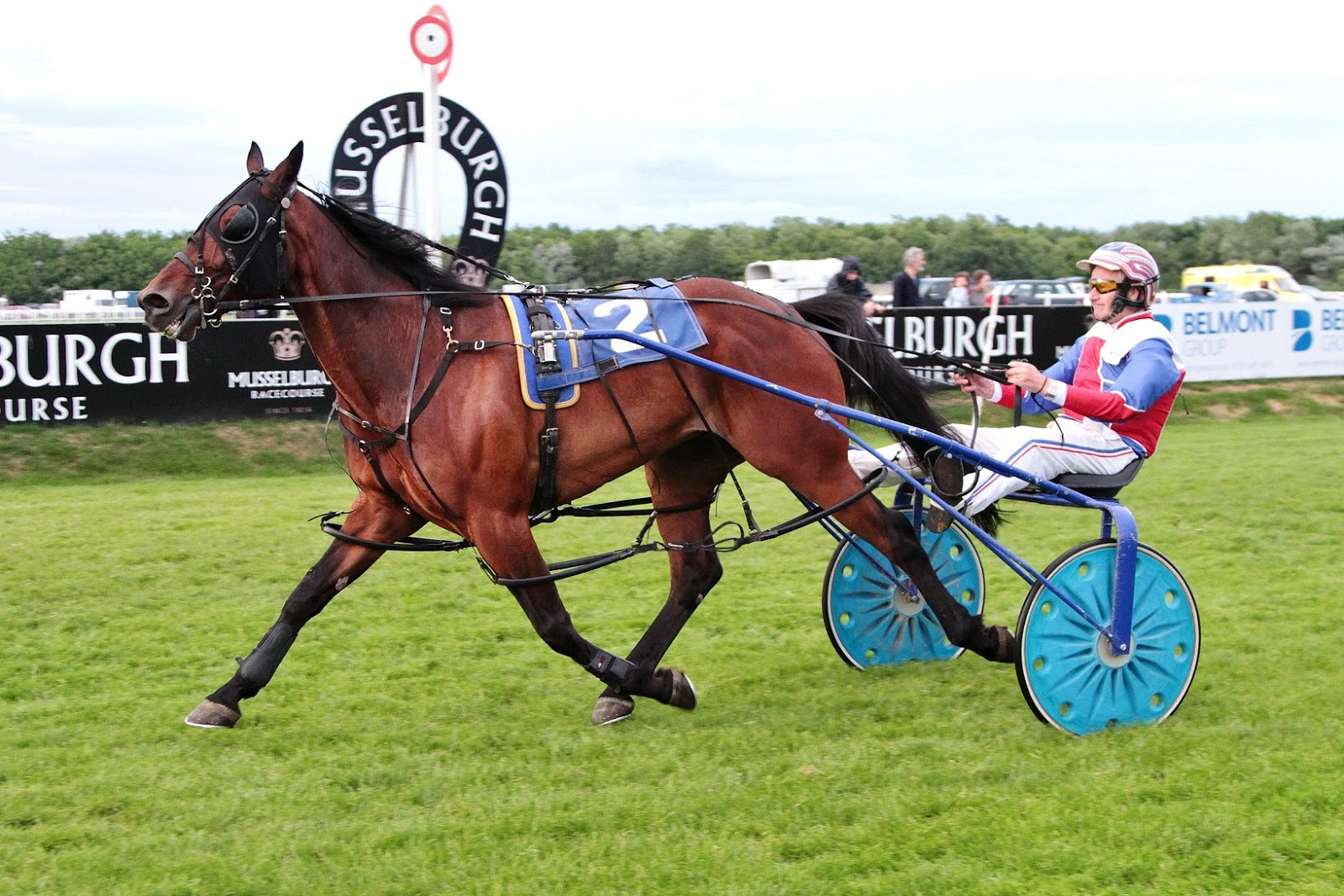 Harness Racing in the UK: What defines a horse's nationality?