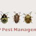 Pest Control North Shore | Australia: What Is Meant by Integrated Pest ...