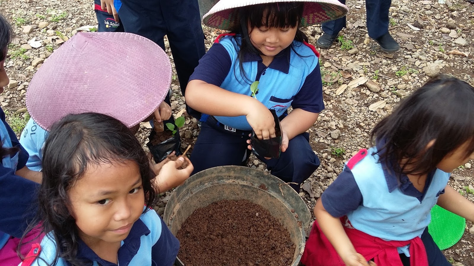 Berkunjung ke Kebun Durian Watu Simbar (Field Trip Kelas 3 SD Labschool ...