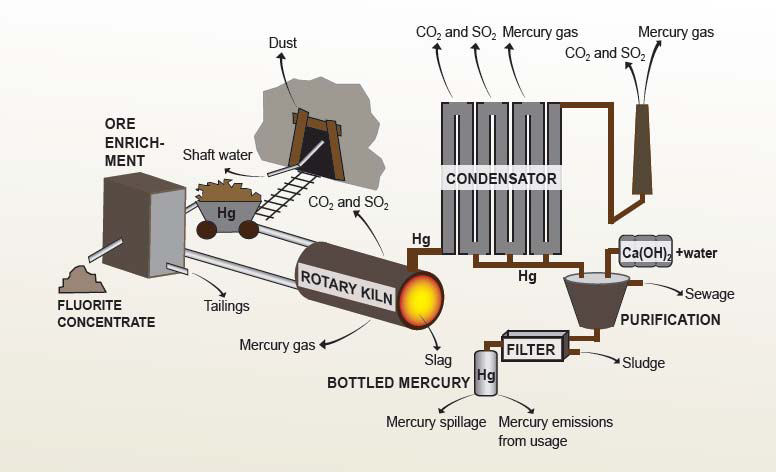 The Lamp Guide: Environment