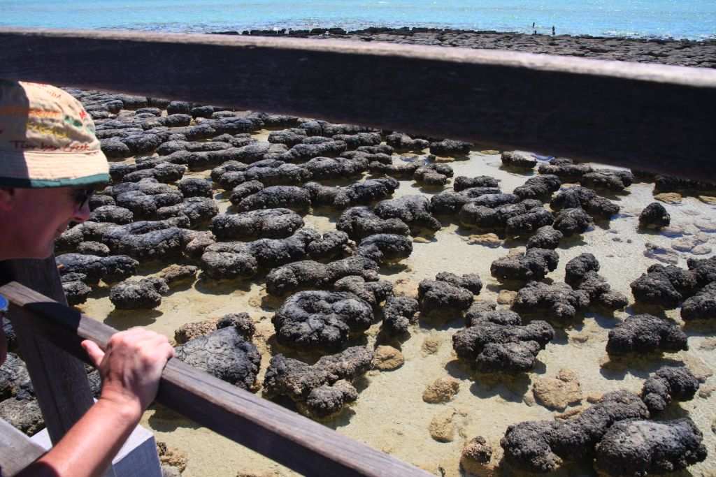 Ut på tur: Kalbarri National Park