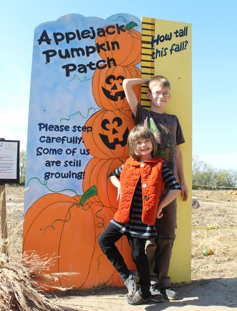 Project Denneler: All Things Fall