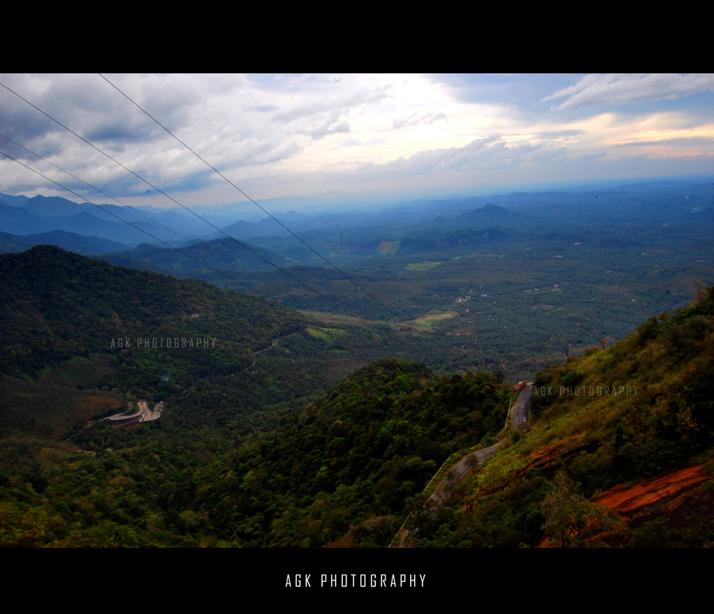 Anil G Kurian: Wayanad