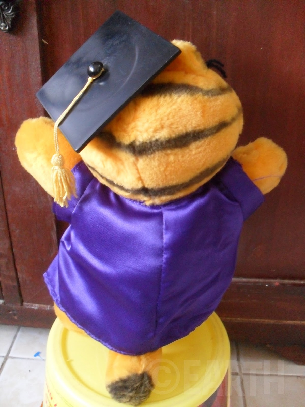 My Garfield Collection: GRADUATED GARFIELD