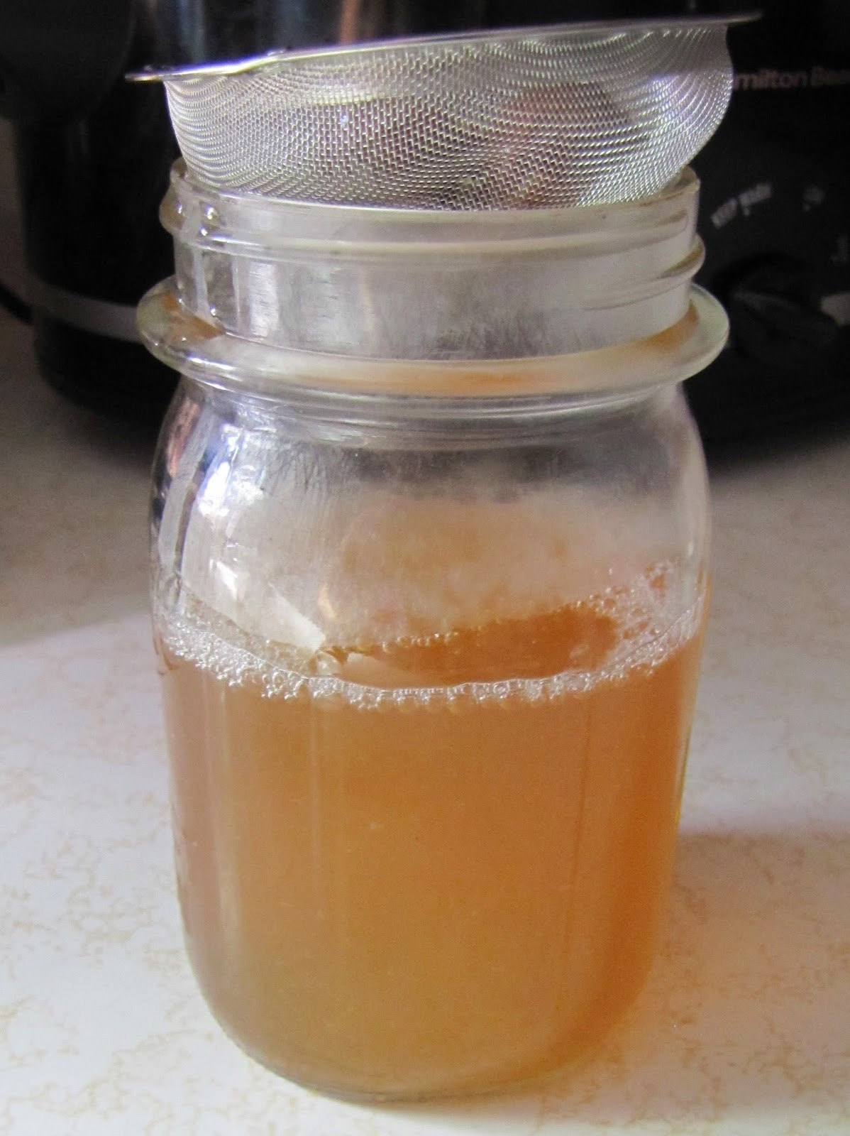 Intended Temple: Preserving Soap Nut Liquid