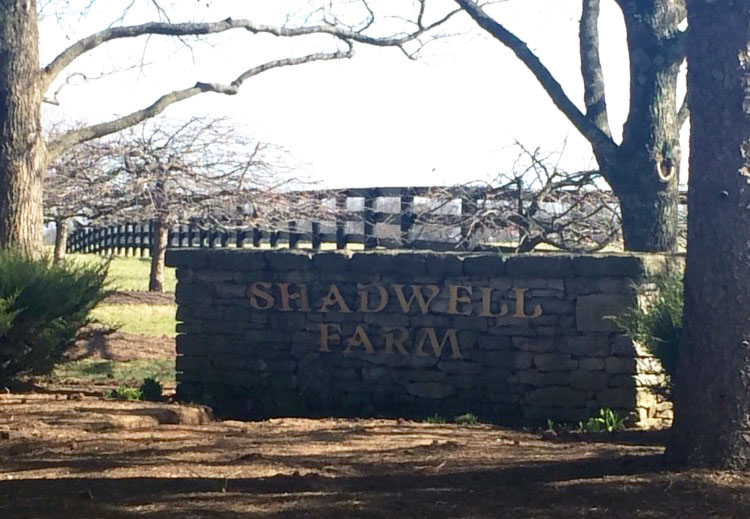 Midway Messenger: Shadwell Farm has two top 10 Derby prospects ...