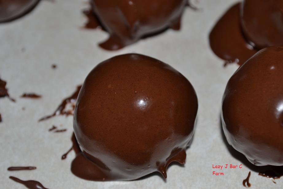 Lazy J Bar C: Chocolate Dipped Bon-Bons