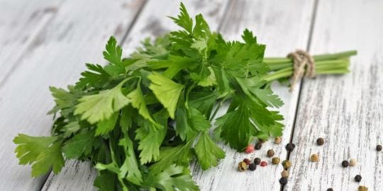 12 Manfaat Seledri Bagi Kesehatan