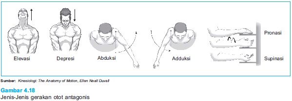 Keperawatan (Nursing)