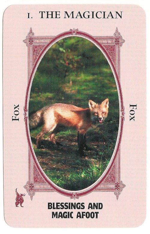 Tarot Notes: Animal Tarot Time: The Magician