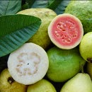 Vamos bien: Propiedades nutricionales de la Guayaba