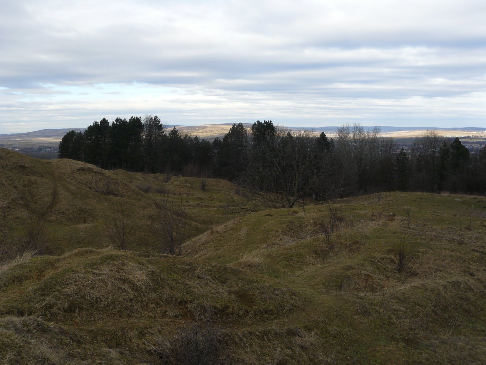 Greywolf`s bush: Cetatea Scheia