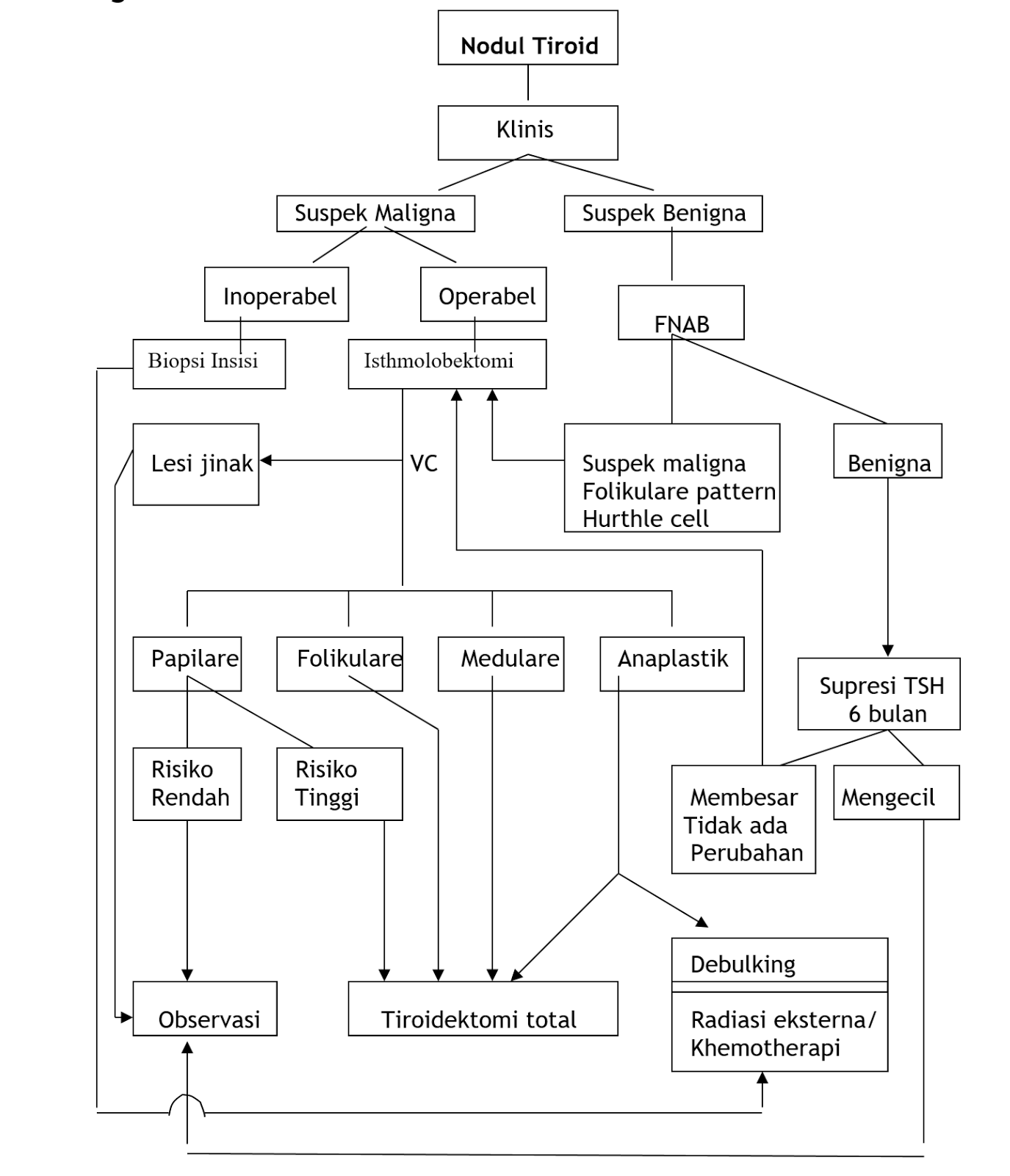 Struma Nodosa Nontoksik (SNNT) ~ Informasi Kedokteran Dan Kesehatan