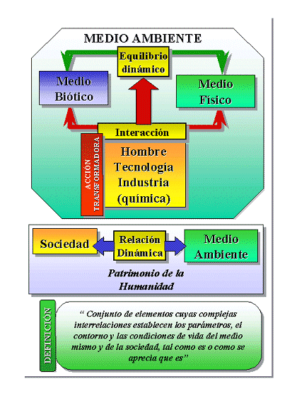 AMBIENTE, DESARROLLO Y SOCIEDAD: Concepto de ambiente